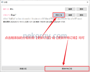 NekoRay使用教程-NekoRay