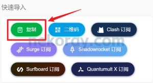 NekoRay使用教程-NekoRay